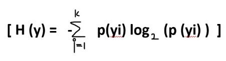 Entropy : An essential measurement in machine learning. | by ...