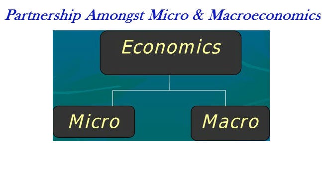 😀 Micro and macro economics. What is the difference between Micro and ...