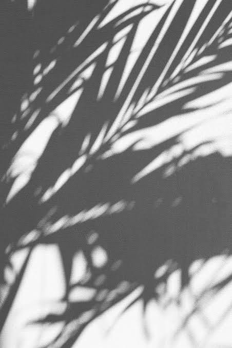 ALL ALONG. "What is he doing?" asked Kitu. "How… | by Joy Johnson | Medium