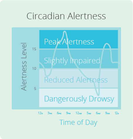 The circadian rhythm and how to hack yours | by Daniel Gartenberg PhD ...