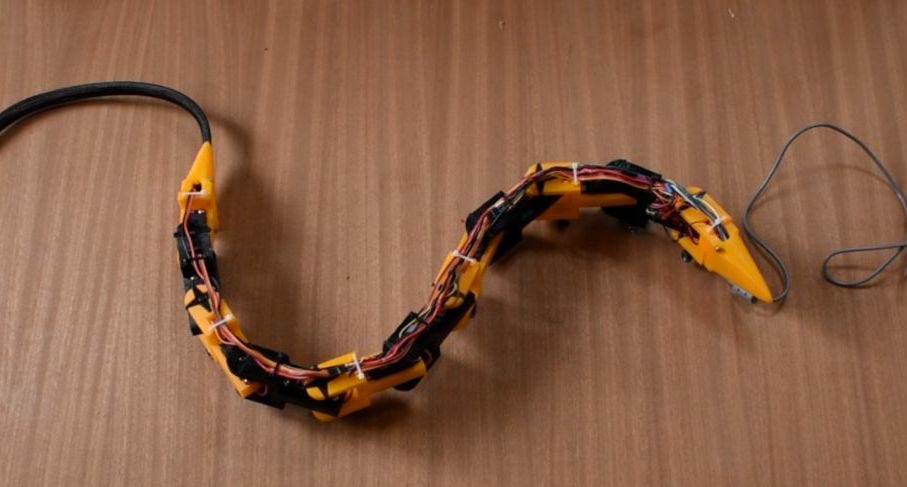 Robotic Snake Inspired by Nature. While snakes are disturbing to some ...