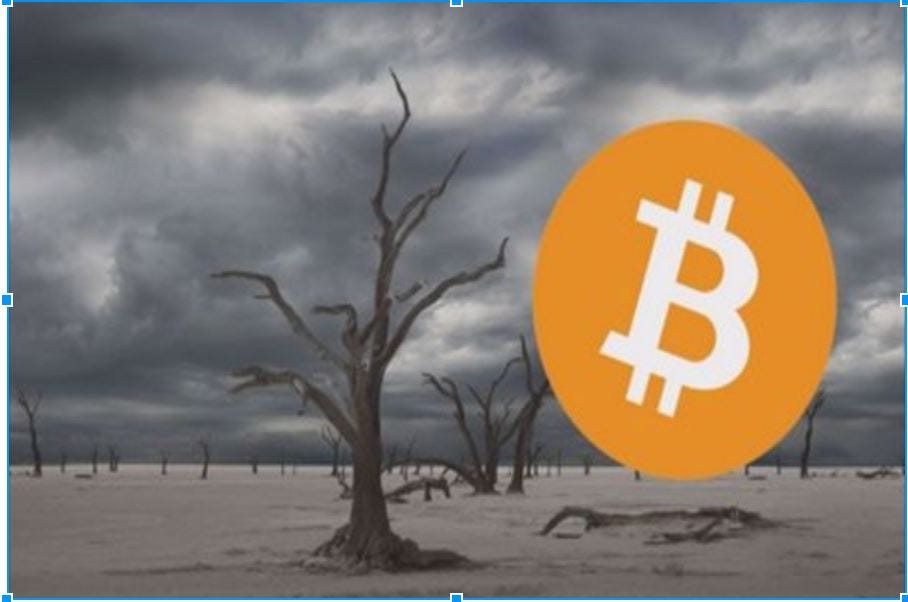 How to survive and get profit during the crypto apocalypse? | by Maria ...