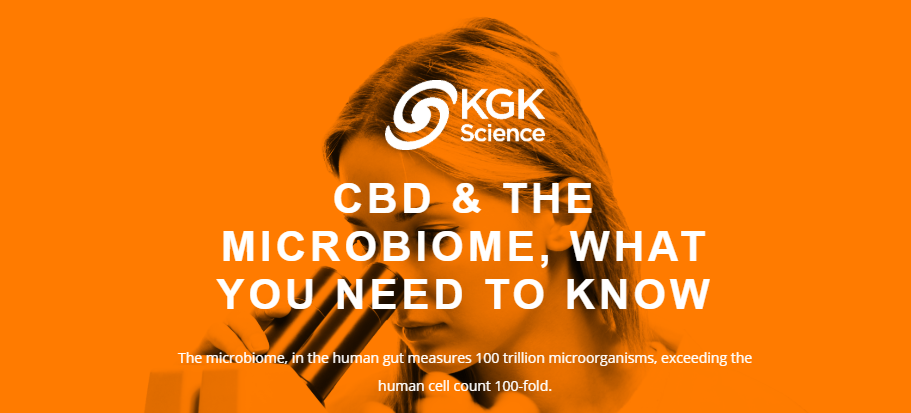 CBD and the Microbiome. Cannabis, commonly known as marijuana… | by KGK ...