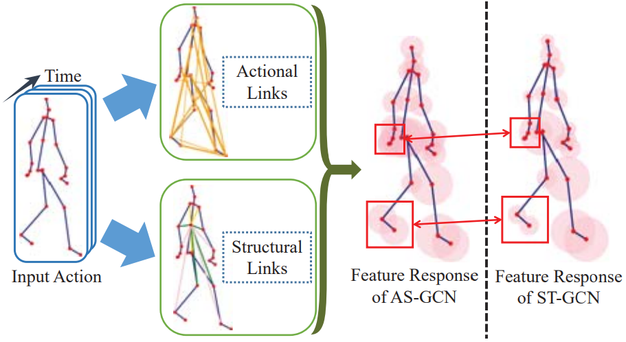論文閱讀 CVPR 2019 — Actional-Structural Graph Convolutional Networks for ...