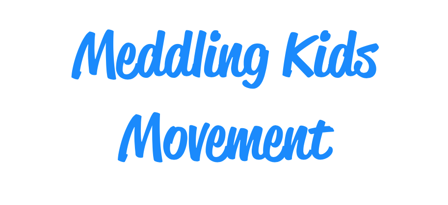 Meddling Kids Medium. Welcome! This is the Meddling Kid… | by Isabel ...