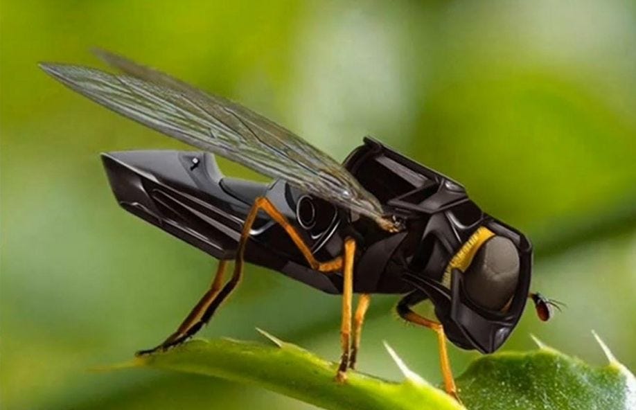 The Male Bee Robot Manual. A post about UAVs and drones | by Eva Rez ...