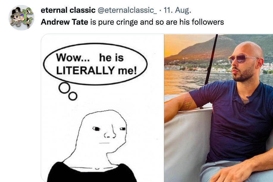 Why Andrew Tate went Viral & What that Tells us about Society. | by Robert Busch | Politics ...