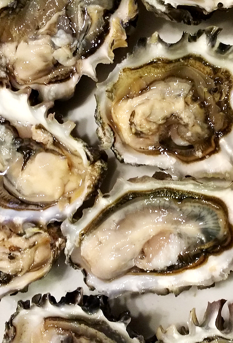 Building On Tradition with Ed Berezack from Aphrodite Oysters | by ...