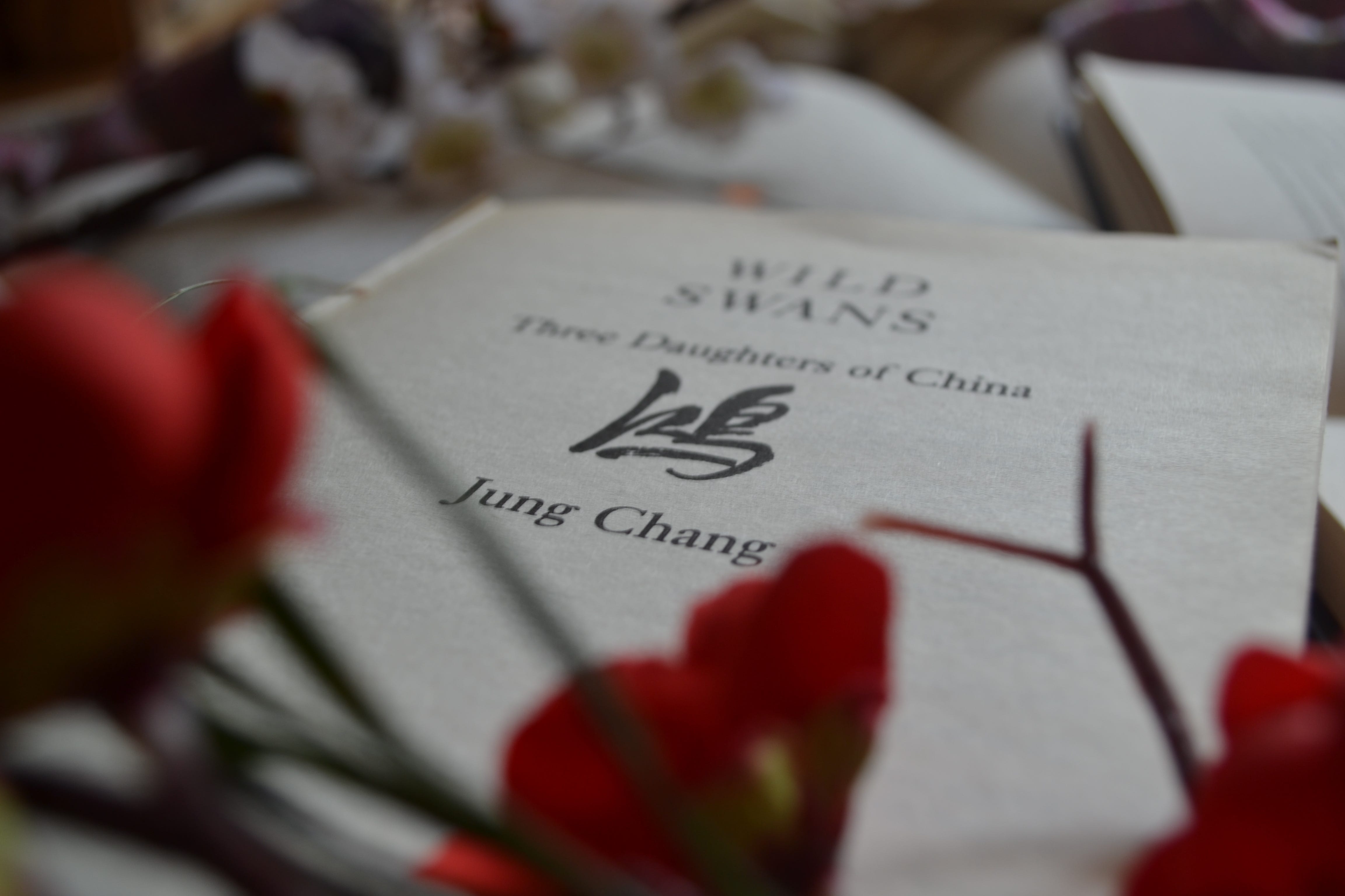 I Moved to the Other Side of the World Because of a Book | by Abbey ...