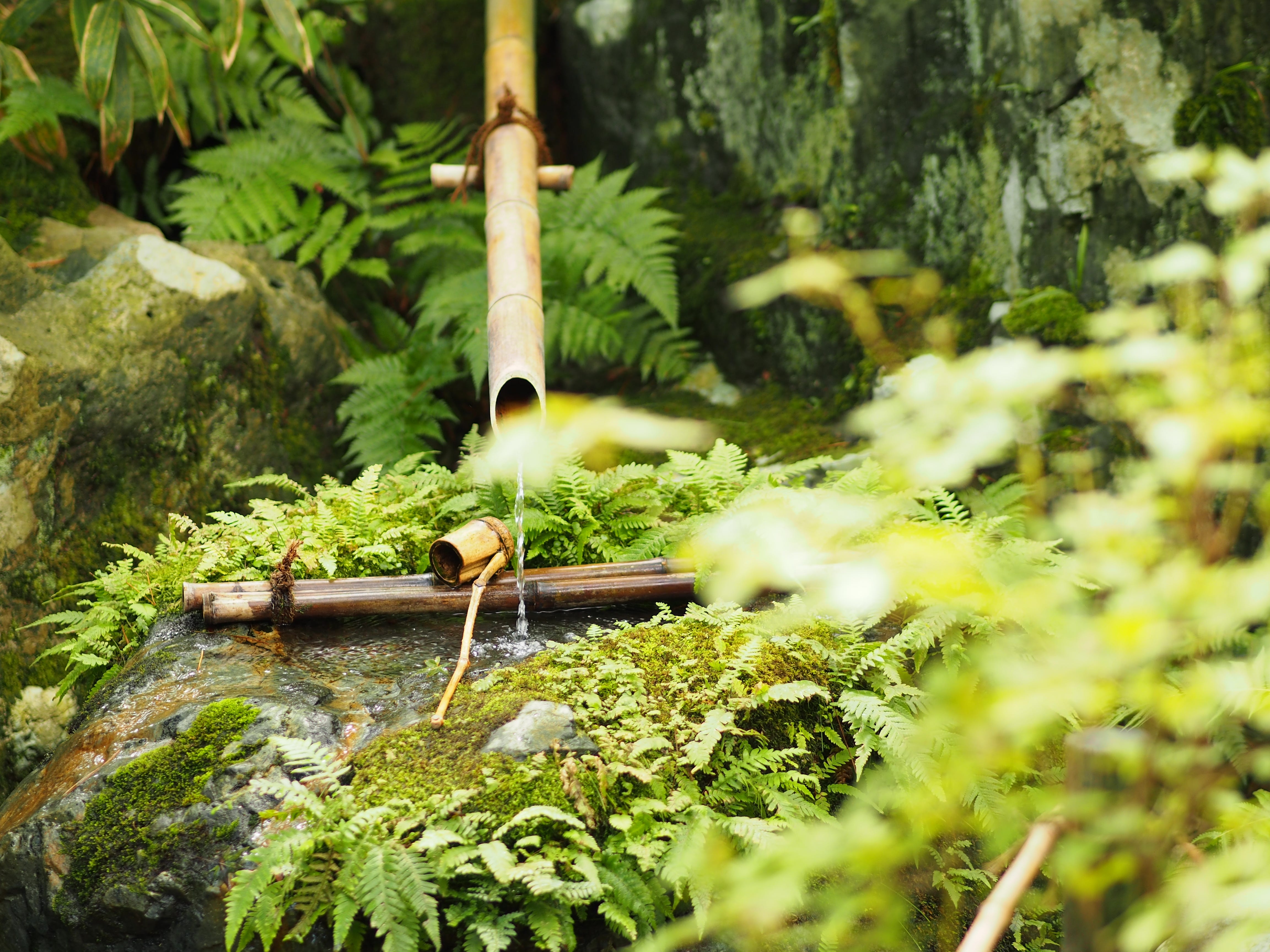 Adachi Museum of Art, Shimane 2018 | by Yasuo Takeuchi | Neutral ...