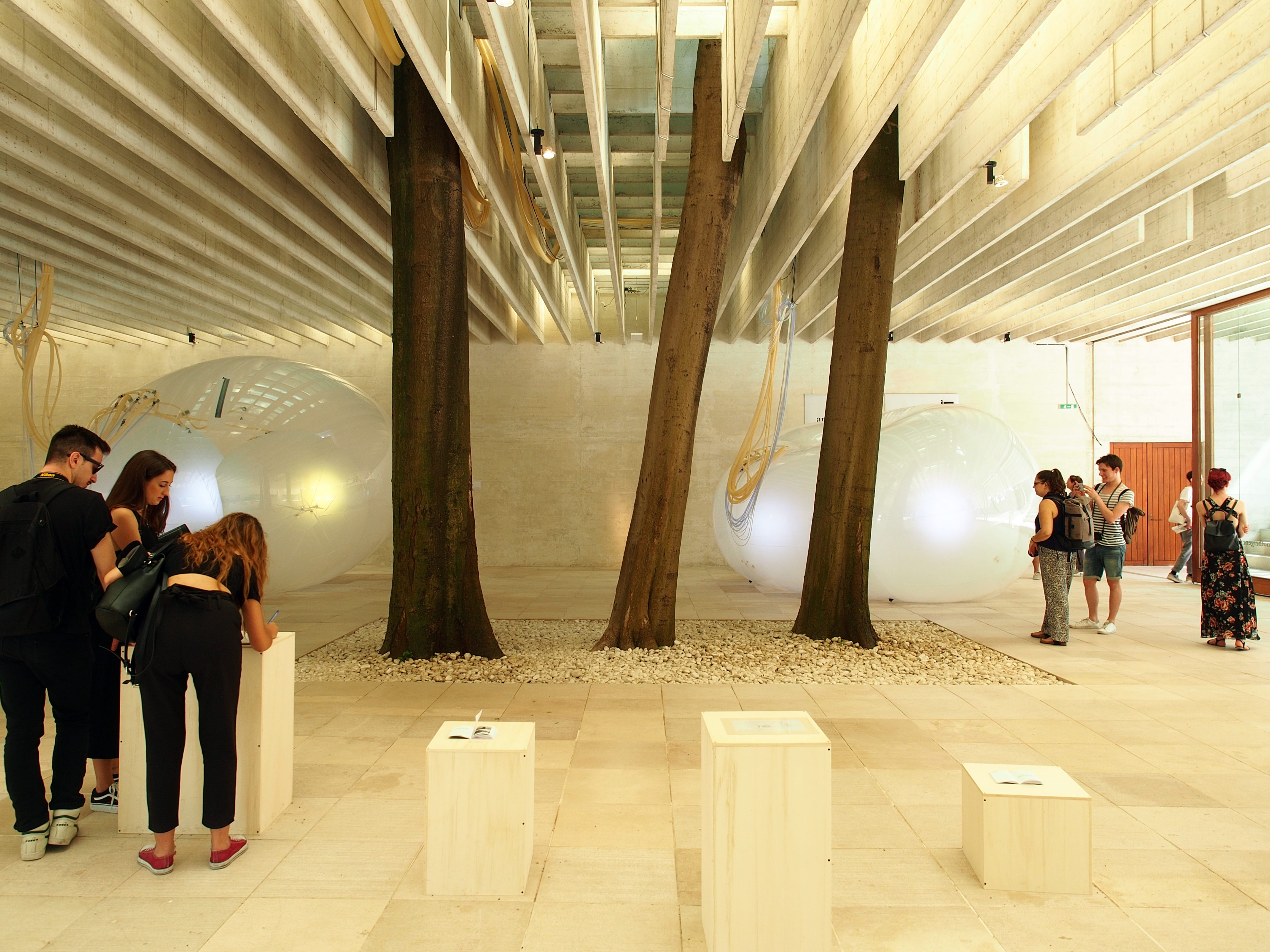 Nordic Pavilion in Giardini, Venice | by 青井 哲人 AOI, Akihito | VESTIGIAL ...