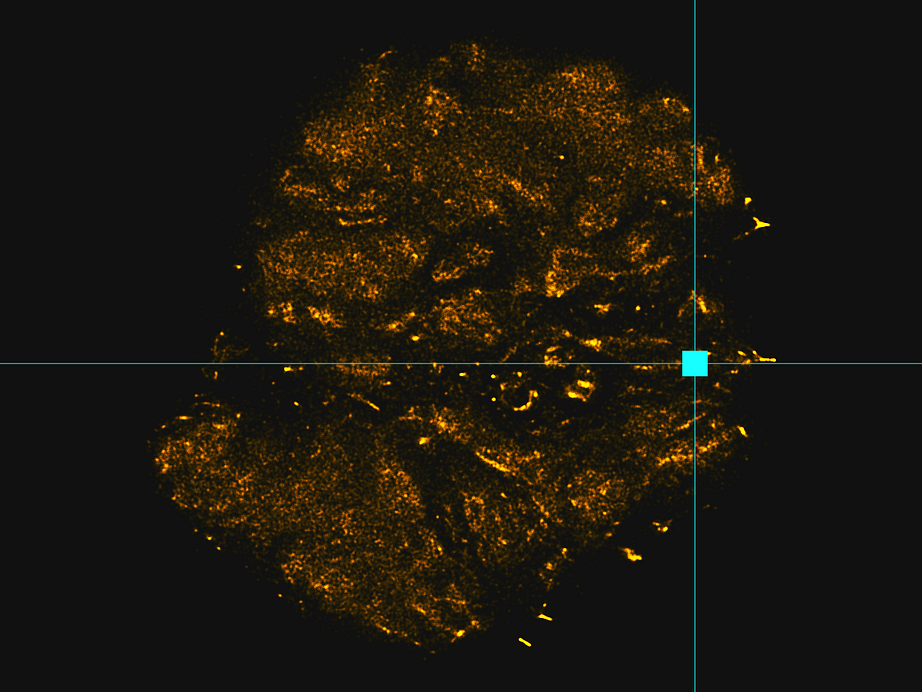 Machine Learning for Visualization - Ian Johnson - Medium