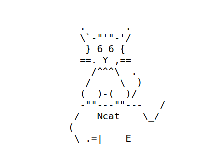 Offensive Netcat/Ncat: From Port Scanning To Bind Shell IP Whitelisting ...