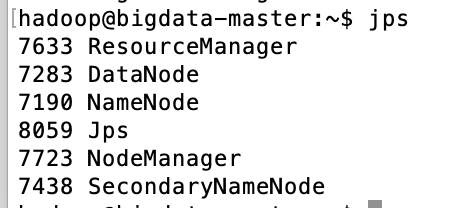 Install Big Data components (Hadoop, Sqoop, Hive, Spark) onto Ubuntu image — Part-1 | by Ali ...