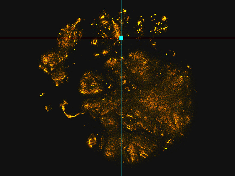 Machine Learning for Visualization - Ian Johnson - Medium