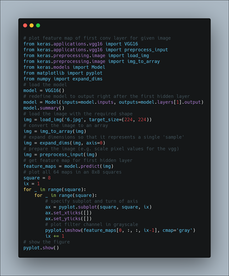 Extract Features, Visualize Filters and Feature Maps in VGG16 and VGG19 ...