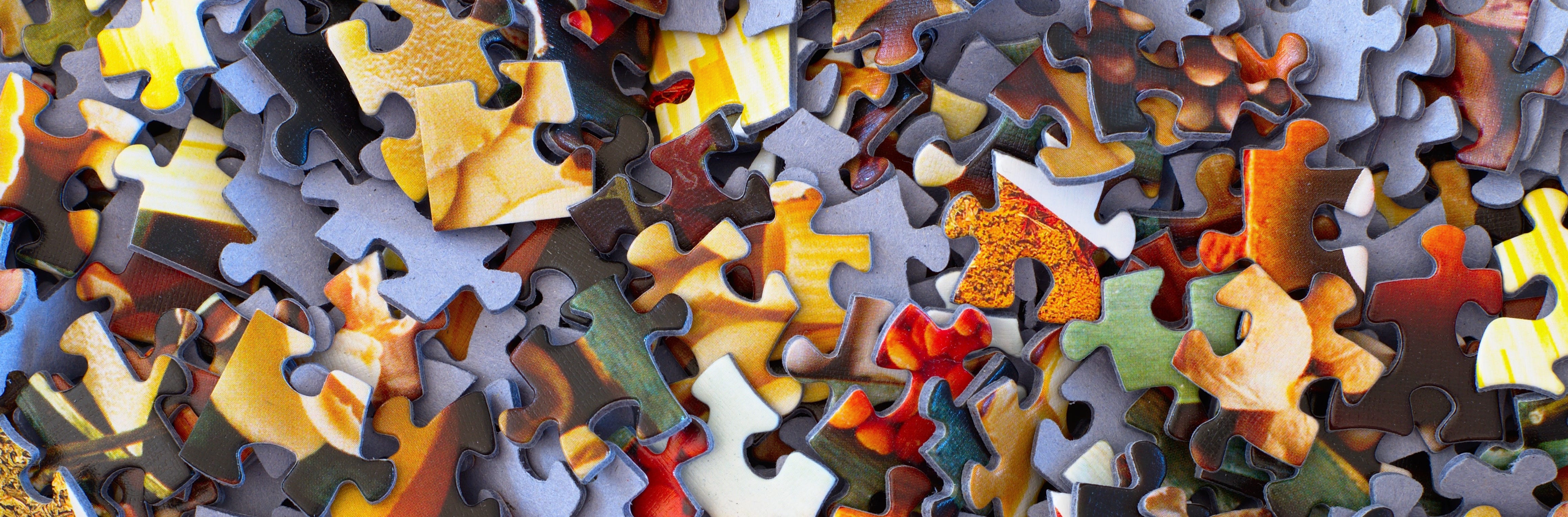 Start-Up, or Start-Down Creating Order out of Chaos | by Phil Bird | Medium