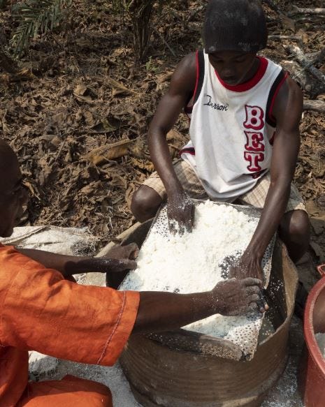 Cassava at the crossroads in Congo | by Jean-Martin Bauer | World Food ...