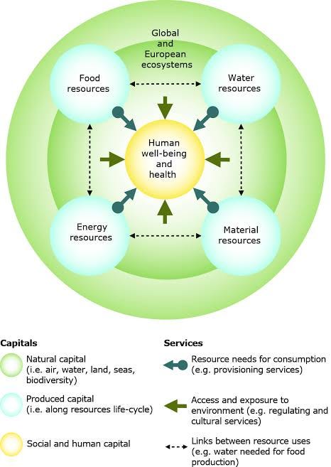 HUMANS AND ENVIRONMENT. We live in certain conditions and… | by Fizza ...