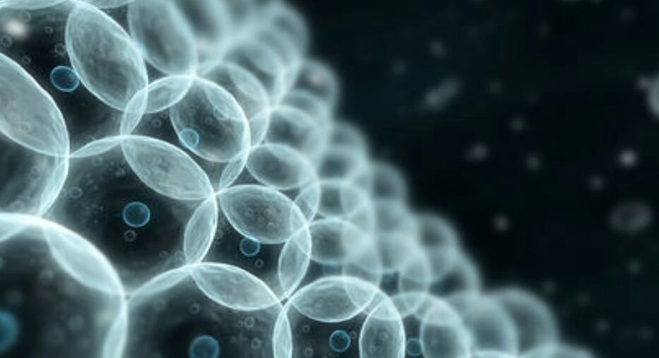 Your Cells Are Listening: How Talking To Your Body Helps You Heal | by ...