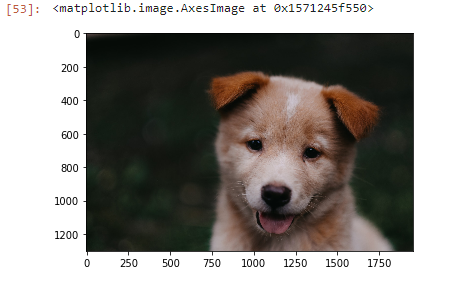 Introduction to Computer Vision & OpenCV in Python | by Shashwat Tiwari ...