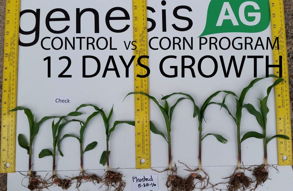 Three Most Important Factors To Consider For High Yield Crops | by ...