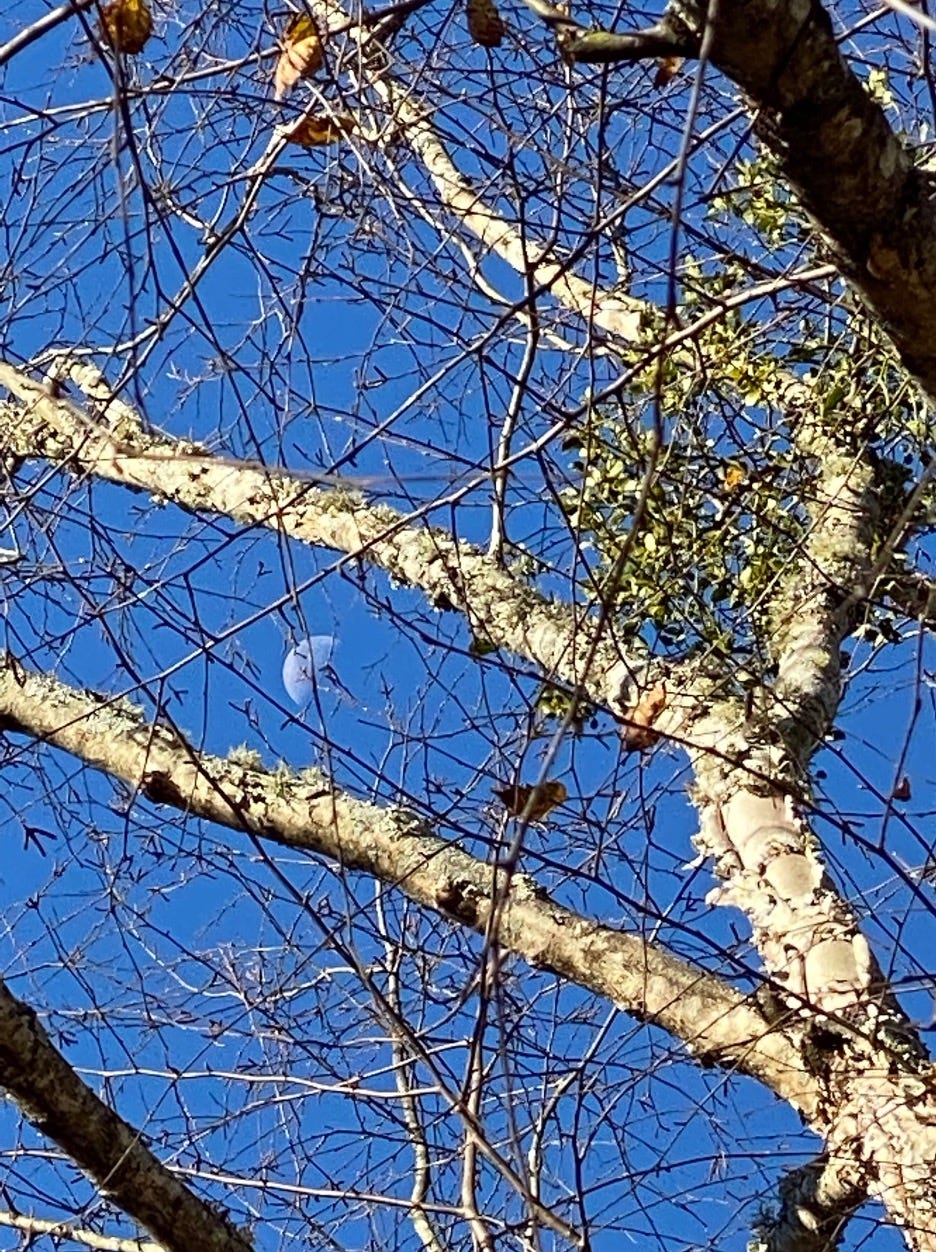 The Moon and The Mistletoe. The Mamas & Papas are doing the harmony ...