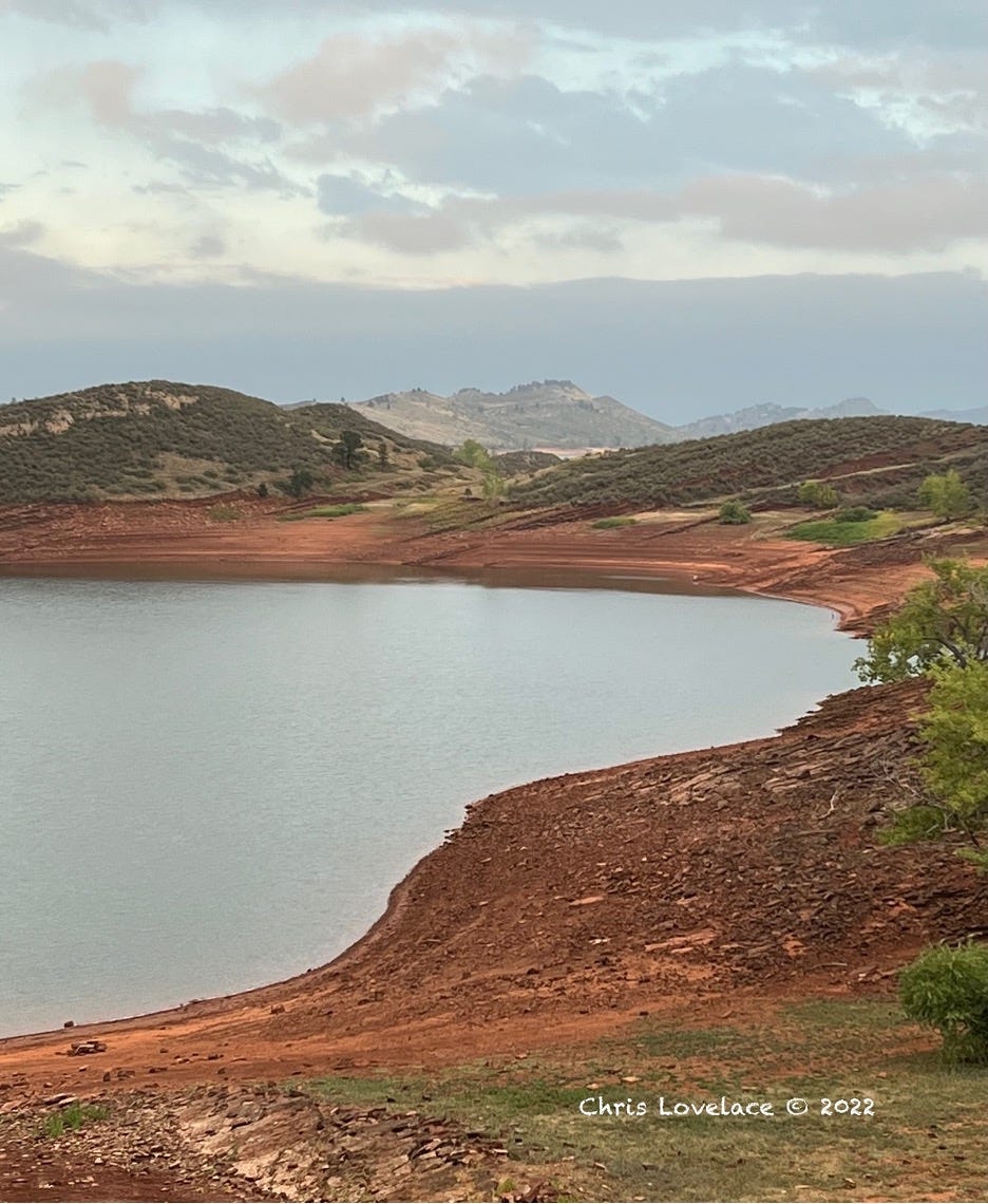 Settling In. Creedence Clearwater Revival is doing… | by Christopher ...