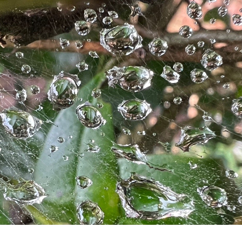 Winter Came Down to Georgia. B. J. Thomas is crooning Raindrops Keep ...