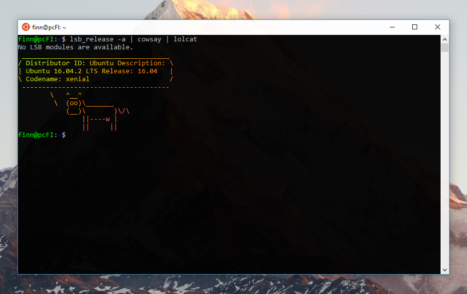 My Dev Environment. Since I’m still kind of a newbie in web… | by Vinh ...