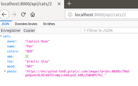 Cute cats web app (Django + VueJs)— Create a REST API with DRF | by jebaer | Medium