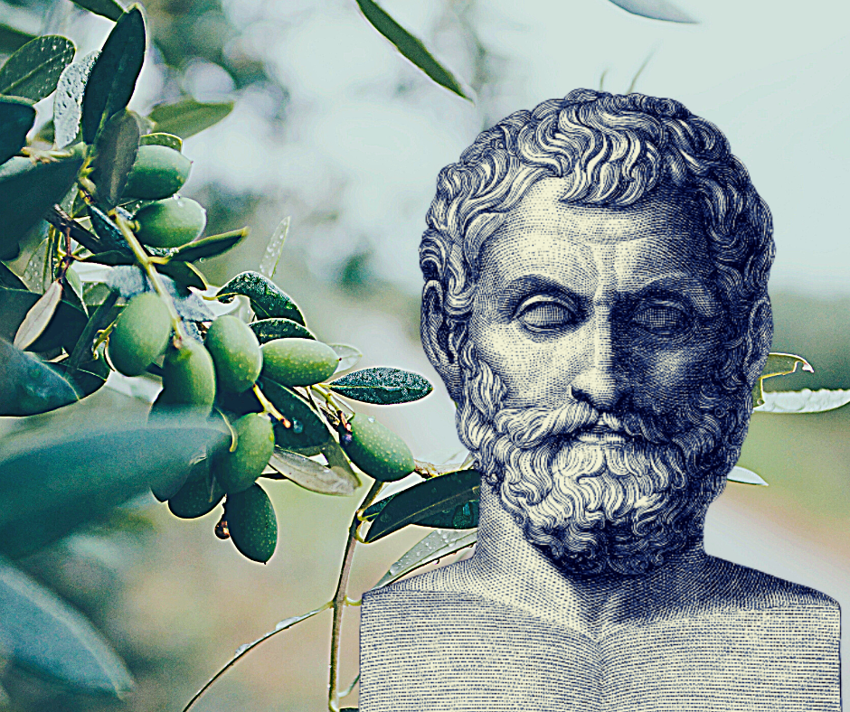 How the Philosopher Thales Became Filthy Rich in the Olive Business: He ...
