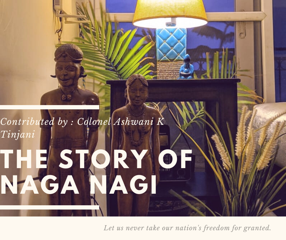 The Story of Naga Nagi. When I got my posting order to an Assam… | by ...