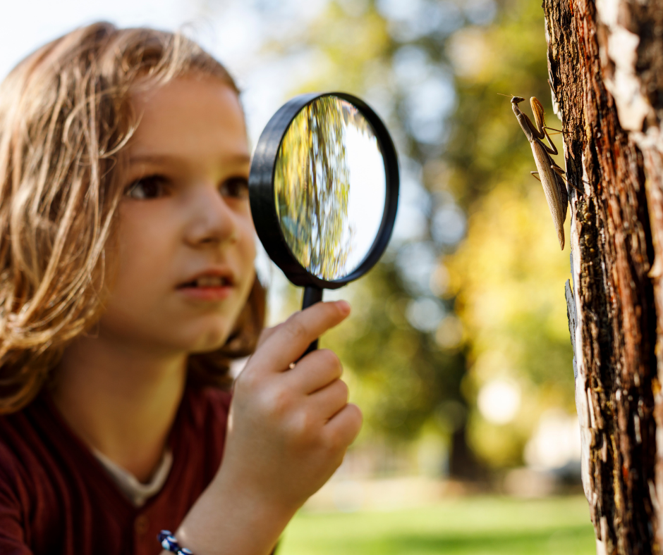 5 Ways to Raise a Curiosity Seeker | by Amy Lynn | Medium