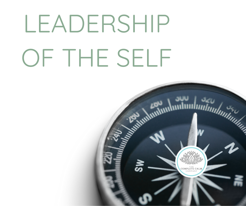 Leadership Of The Self. We can often think that we are feeling… | by ...