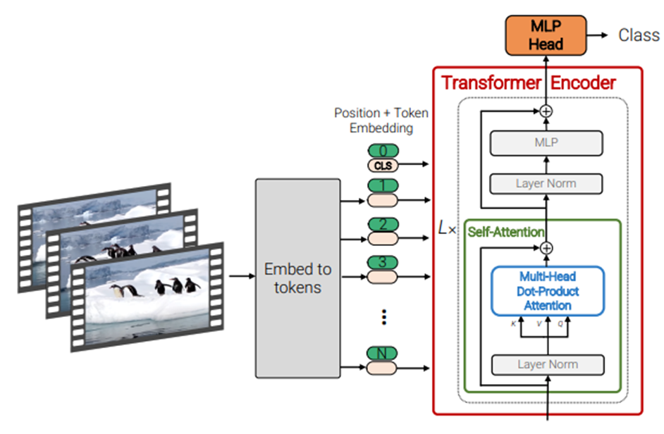 ViViT : A Video Vision Transformer | by Nitin Limhan | Machine ...