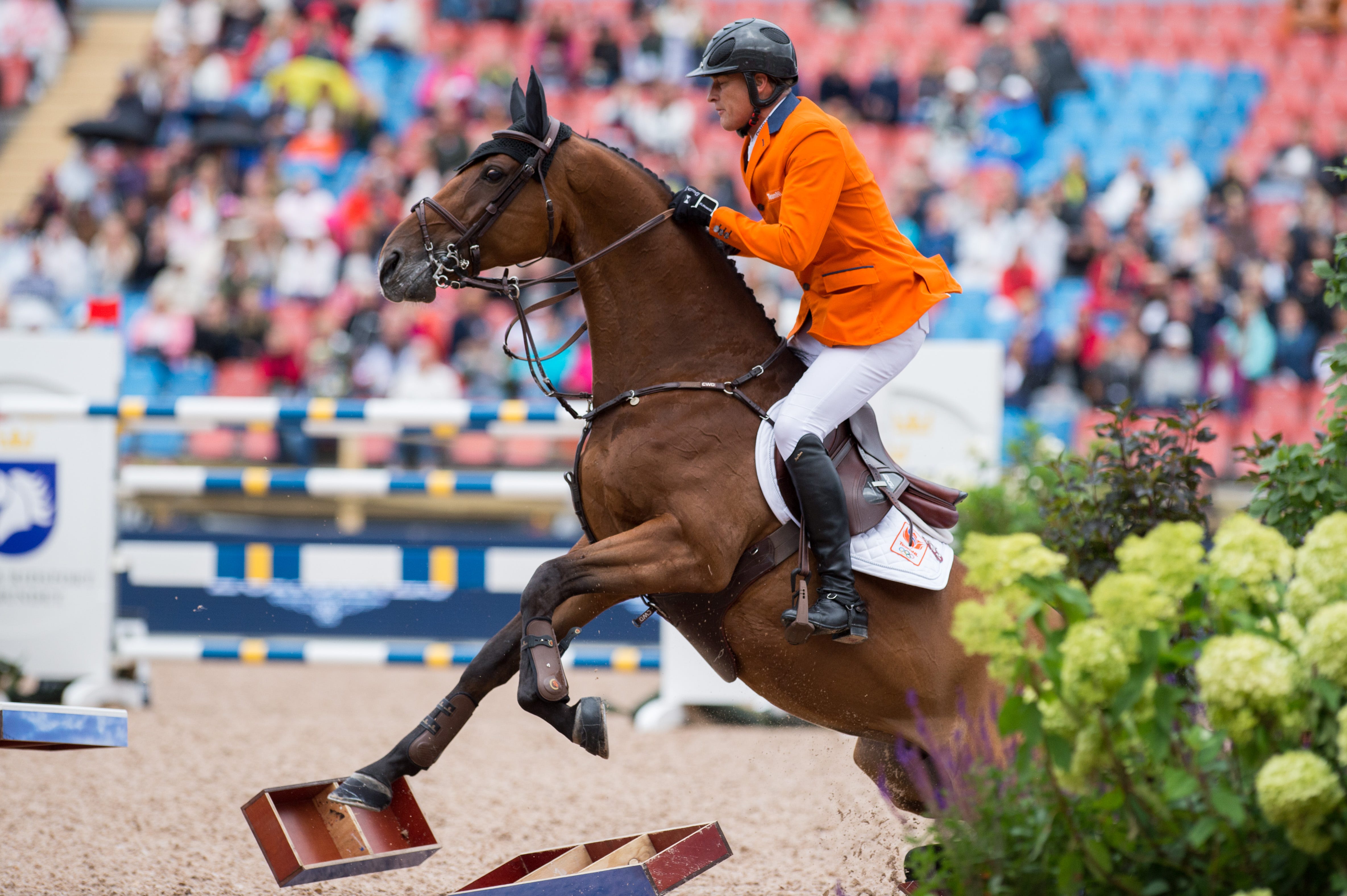 7 Rules for Life: Trust and the Double Oxer - Jennifer Marie Kerner ...