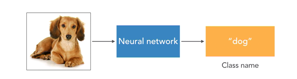 Concept of Image Recognition using Deep Learning | by Dilip Valeti | Medium