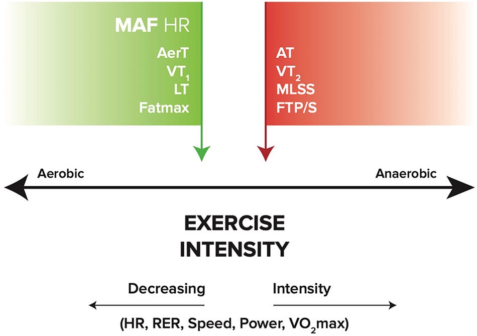 Energy, Thresholds and Zones in Running (2a) | by Mark Perry | Dec ...