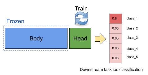 ทำ Image Classification/Transferred learning ด้วย Pytorch🔥 | by ...