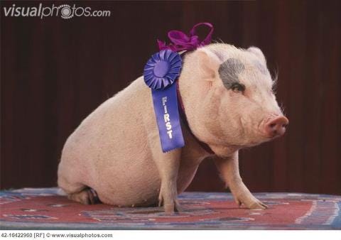 Bring out the Prize Pig! We’ve got a Blab first! - Blab Daily Digest ...