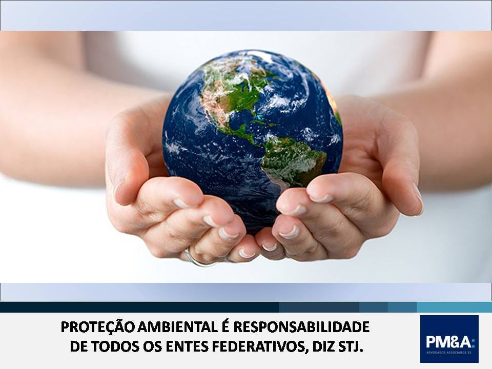 ProteÇÃo Ambiental É Responsabilidade De Todos Os Entes Federativos
