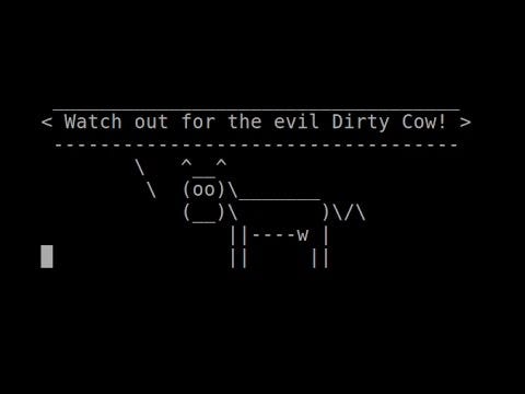 Hacker Vibe: How To Have Your Terminal Start With An ASCII Banner. | by ...