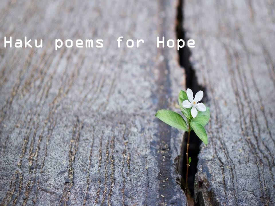 Modern Haku poems for Hope. A Sign of Hope | by International Poetry ...