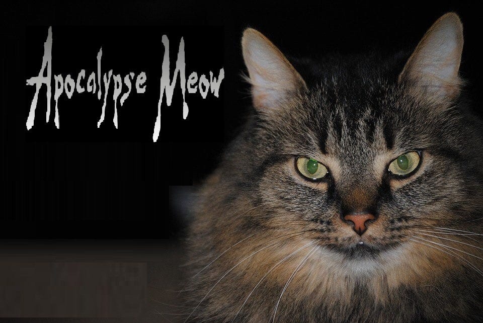 Apocalypse Meow. Dedication: This story is for Ghosty… | by Teddy Cham ...