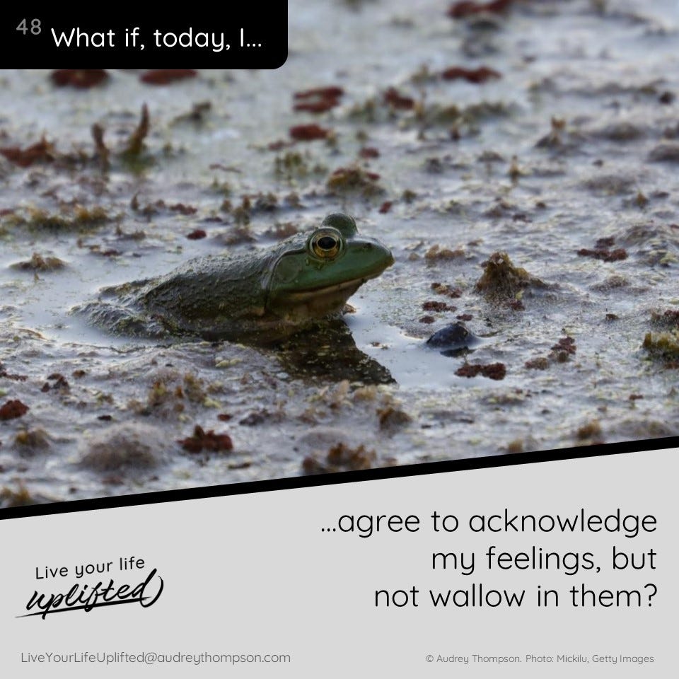 What if today I don't wallow in my feelings? by Audrey Thompson | Medium