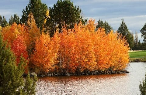 Seasons. Another season is making its presence… | by James Jaqua | Medium