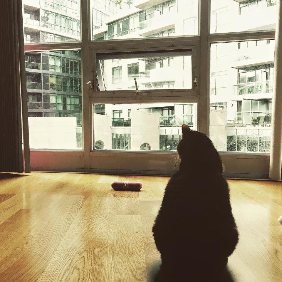 Apathy. ~July 11th, 2015. Part of me hopes you see this…. this is… | by ...