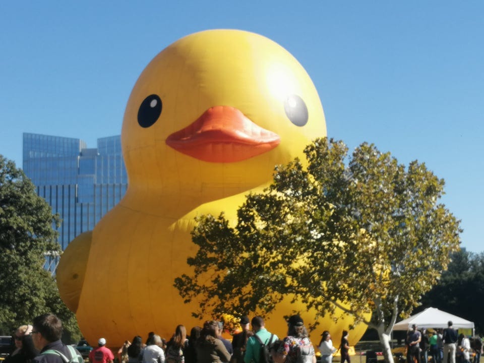 World’s Biggest Duck Makes First Visit to Texas | by Amy Christie | Oct ...