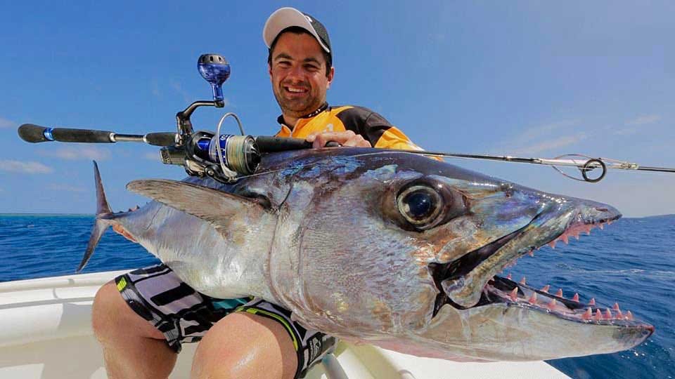 Who Let the Dog Out? Tips on targeting Dogtooth Tuna | by Ocean Blue ...